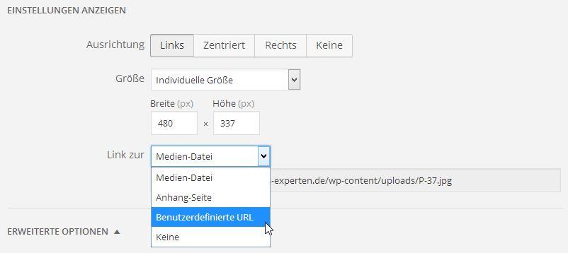 Bilder neu verlinken - MOEWE